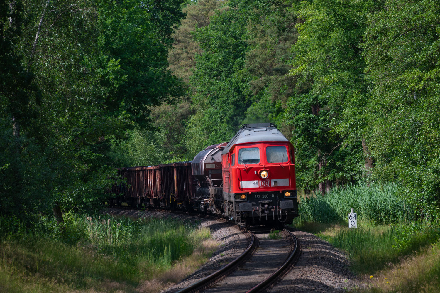 233 288-0 — Фото — RailGallery